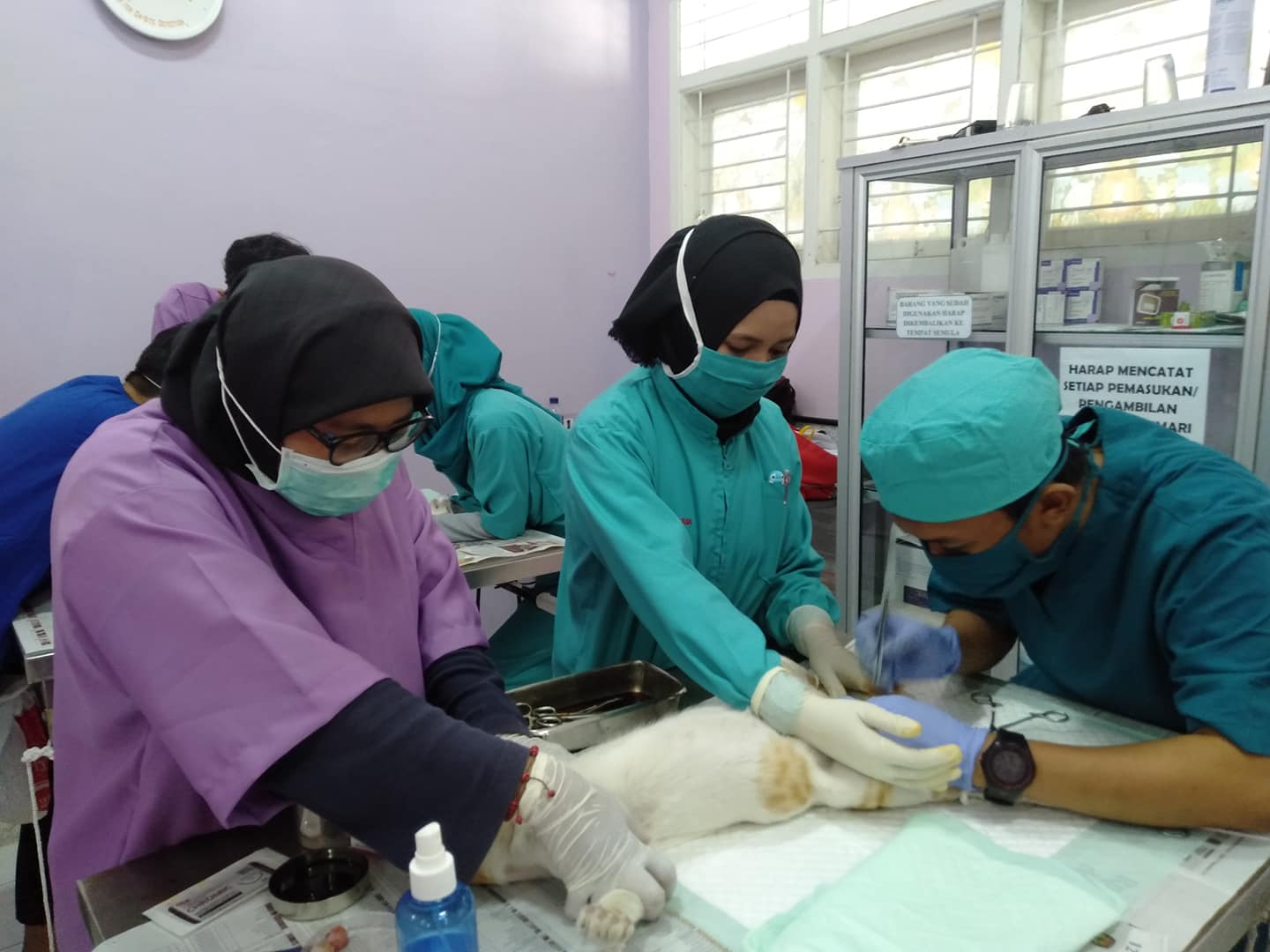 Laboratorium – Kedokteran Hewan